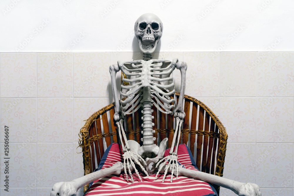 Fake human skeleton sitting on a chair in white room. Stock Photo ...