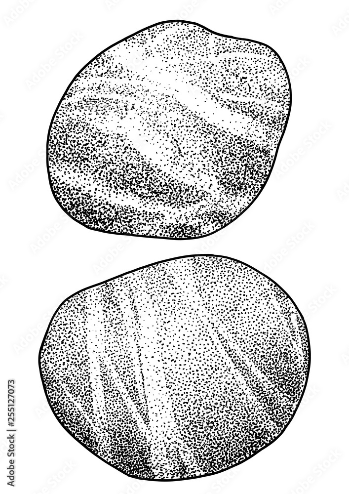 Rock, pebble illustration, drawing, engraving, ink, line art, vector ...