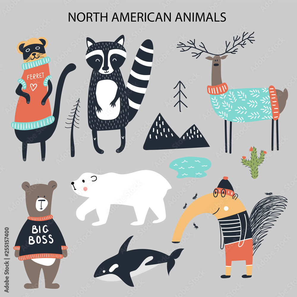 Set of diferent cartoon North American animals. Cute handdrawn kids ...