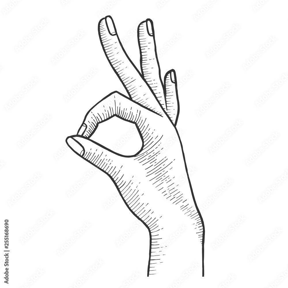 Hand with ok gesture sketch engraving vector illustration. Good sign ...
