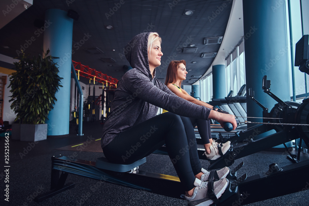 Cross training. Two beautiful young women working out on rowing ...