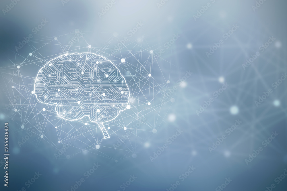 Human brain 2d illustration Stock Illustration | Adobe Stock