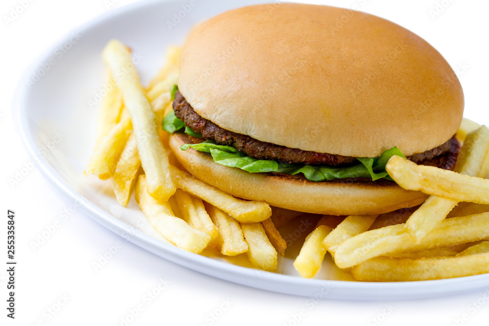 French fries and hamburger on a plate on a white background. Junk and ...