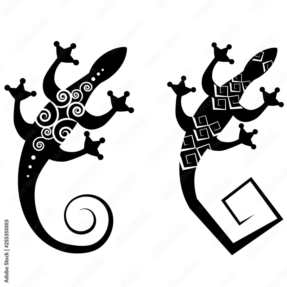 Two salamanders with different patterns Stock Vector | Adobe Stock