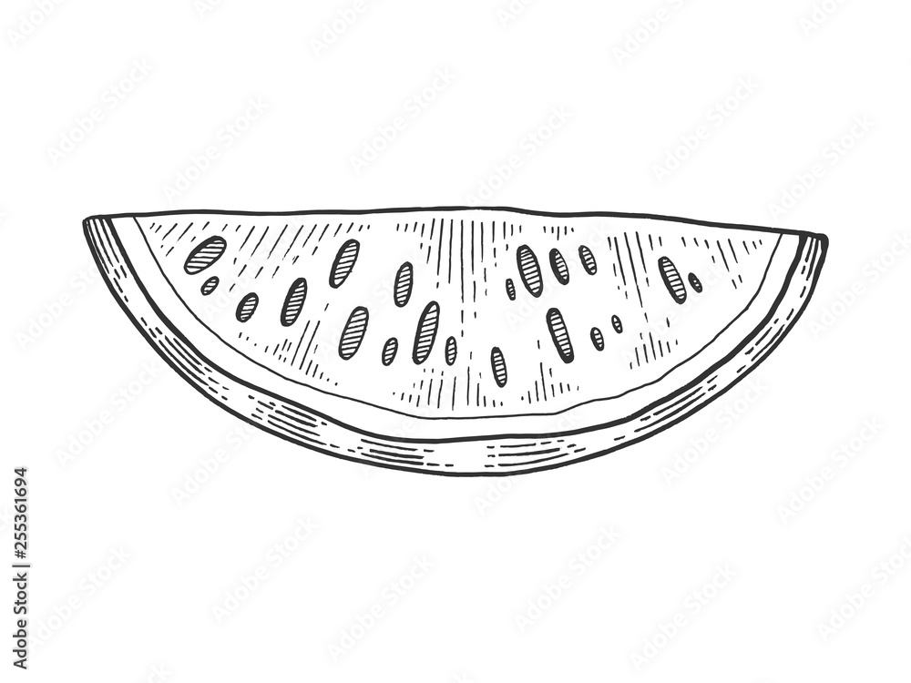 Watermelon fruit plant slice sketch engraving vector illustration ...