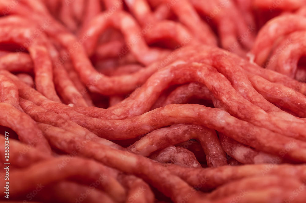 Hackfleisch gemischt Stock Photo | Adobe Stock