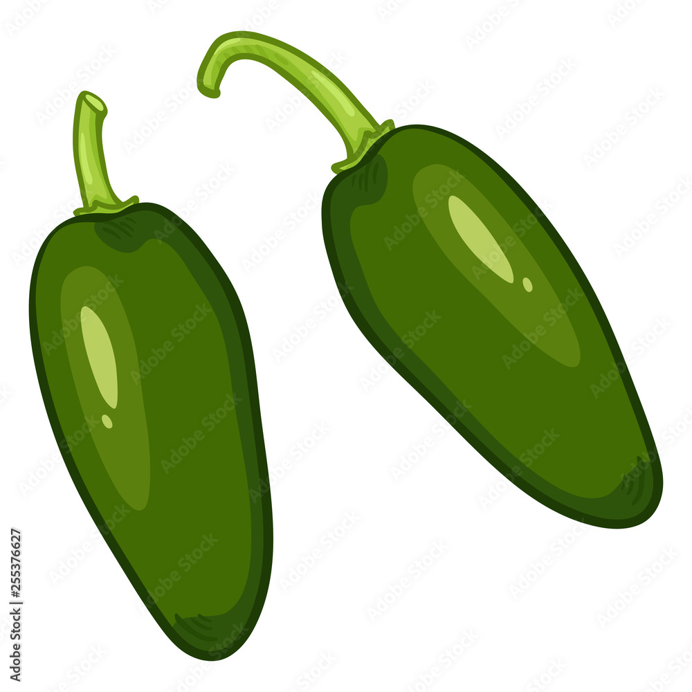 Vector Cartoon Green Jalapeno Peppers Stock Vector | Adobe Stock