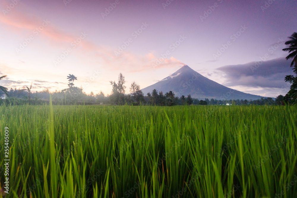 The Mayon Volcano - active volcano rising 2,462 metres, known as the ...