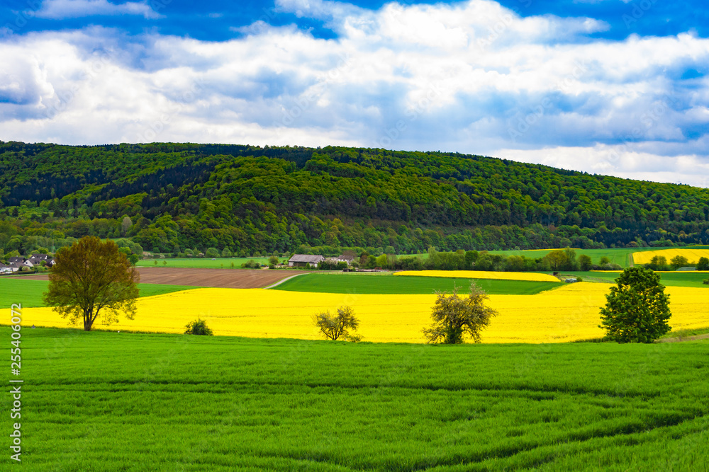 Beautiful panoramic view of the landscape in North Hesse. Cultivated ...