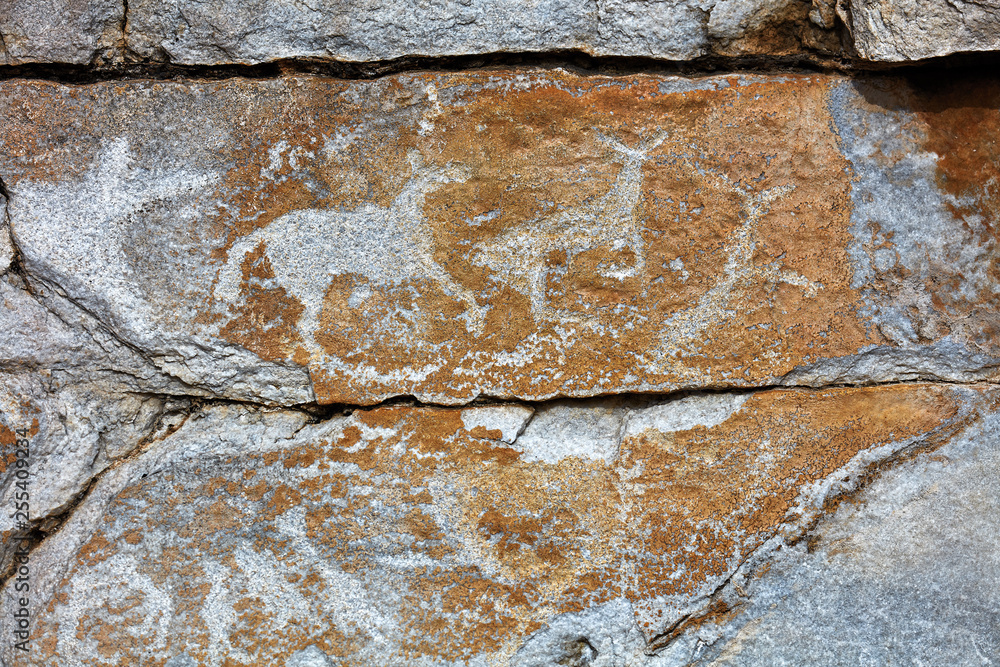 Rock paintings of ancient people. Image of ancient hunters with deer on ...