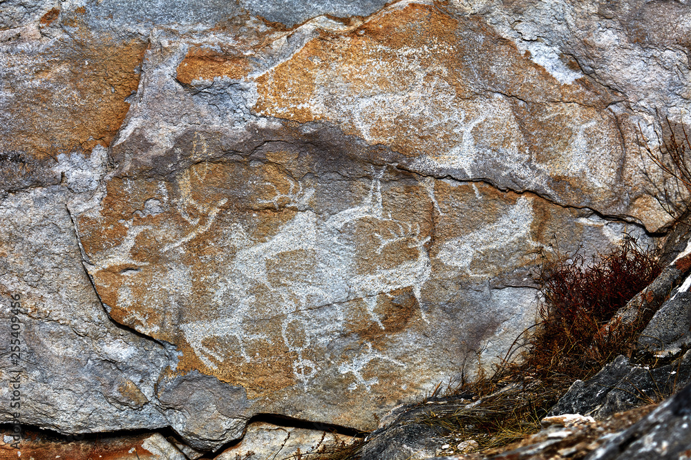 Rock paintings of ancient people. Image of ancient hunters with deer on ...