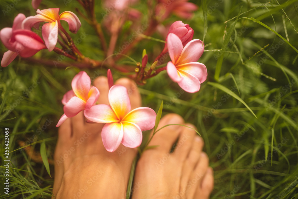 anned foots with tender pink frangipani flowers in green grass of ...