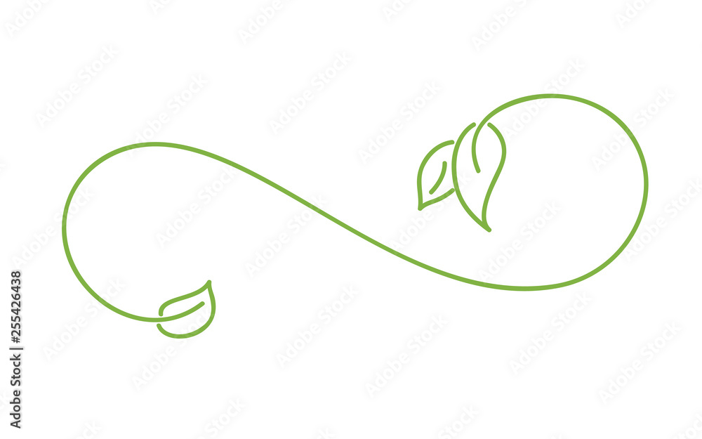 Green monoline calligraphy scandinavian flourish vector element ...