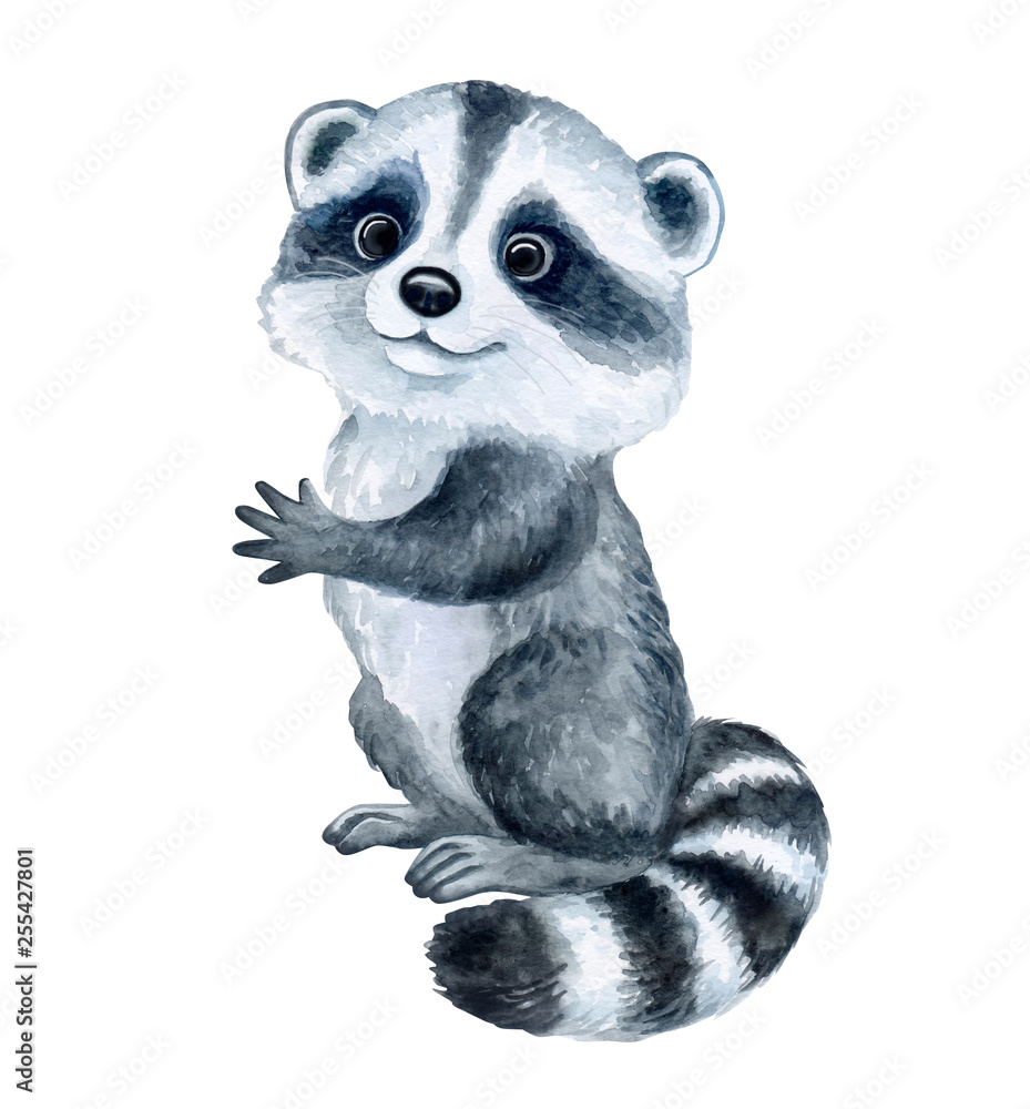 How To Draw A Cute Raccoon