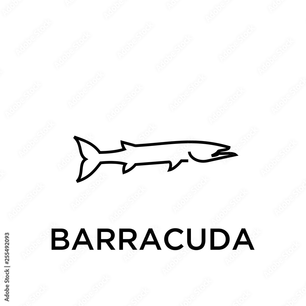 BARRACUDA logo icon designs vector Stock Vector | Adobe Stock