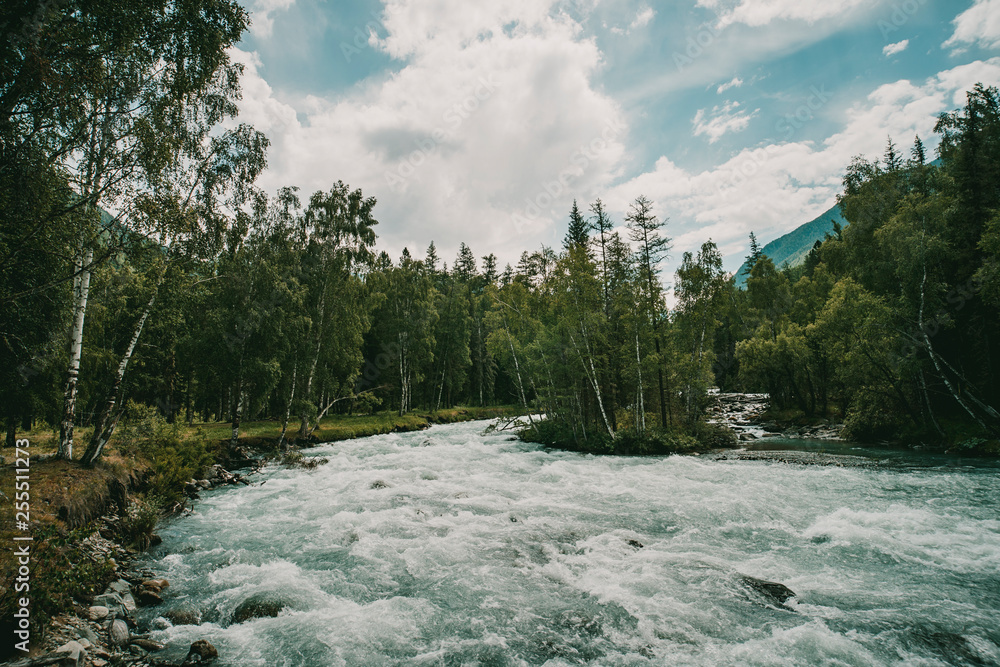The fast flowing crystal clear waters of the River during early spring ...