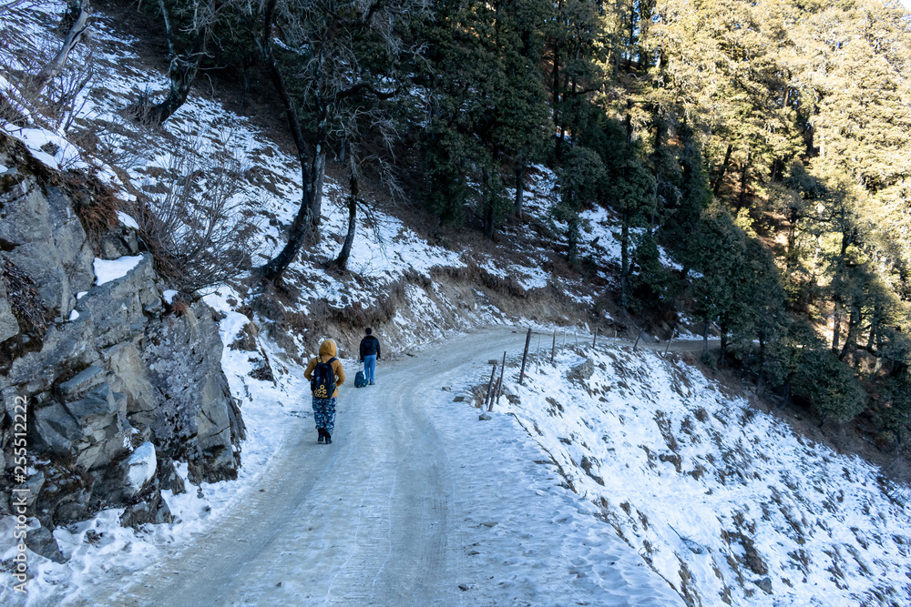 Average Height Of Shivalik Range at Caleb Brownbill blog