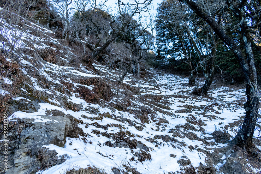 Shivalik Range of the Himalayas, Narkanda Valley, Himachal Pradesh- a ...