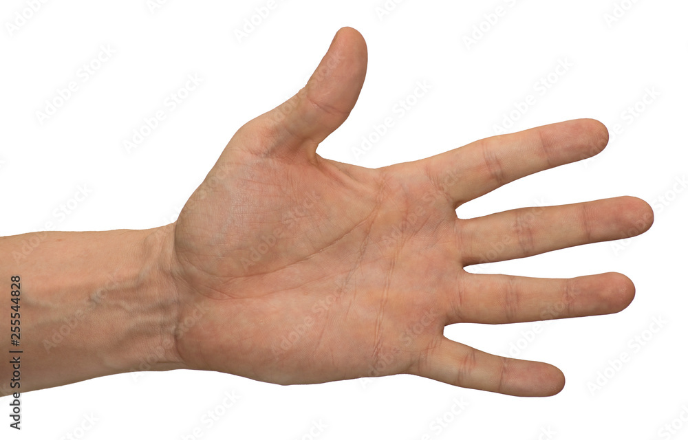 A hand gesture where the palm is open, all fingers sticking out. Hand ...