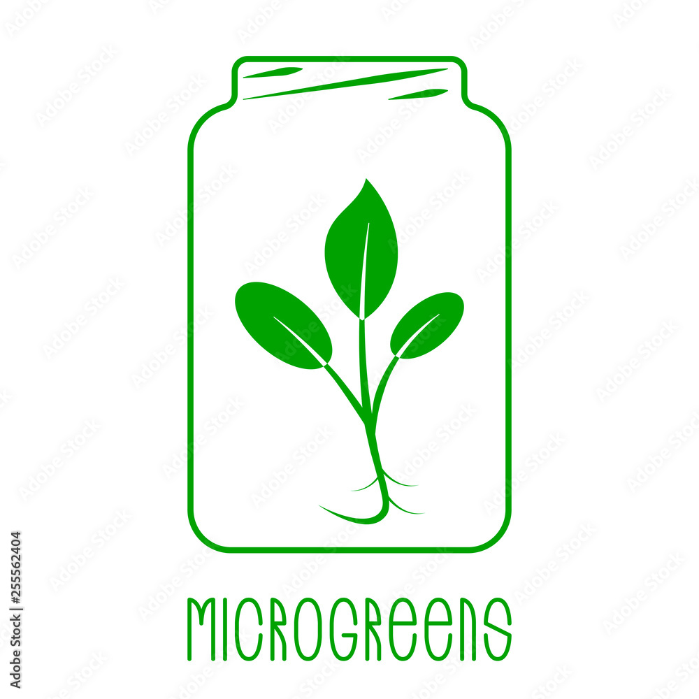 Microgreens Logo. Plant in a glass jar. Seed and living microgreens ...
