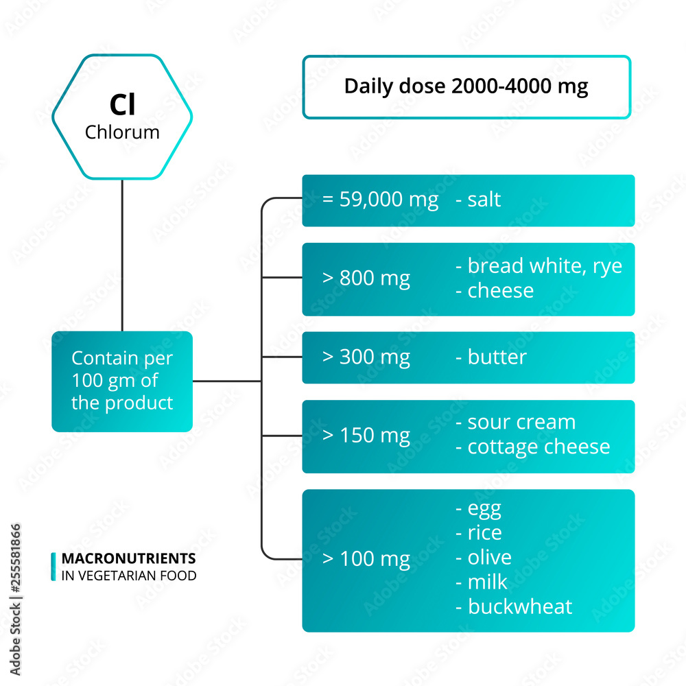 Vector scheme of the nutrients, vitamins and minerals. Vector healthy ...