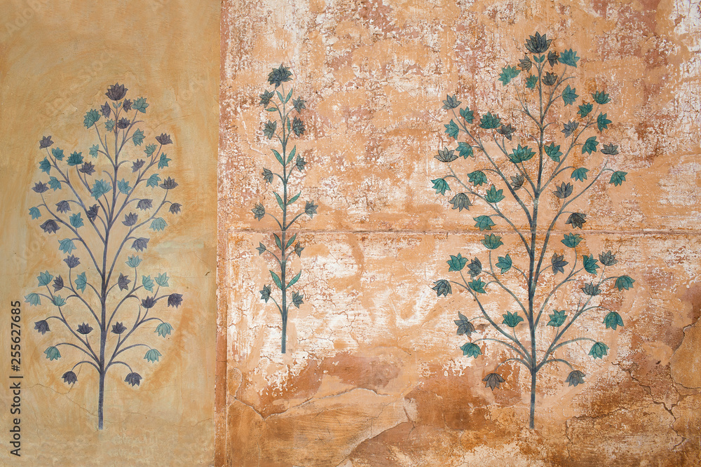 Vintage texture of an ancient wall in Amber Fort, Jaipur, Rajasthan ...