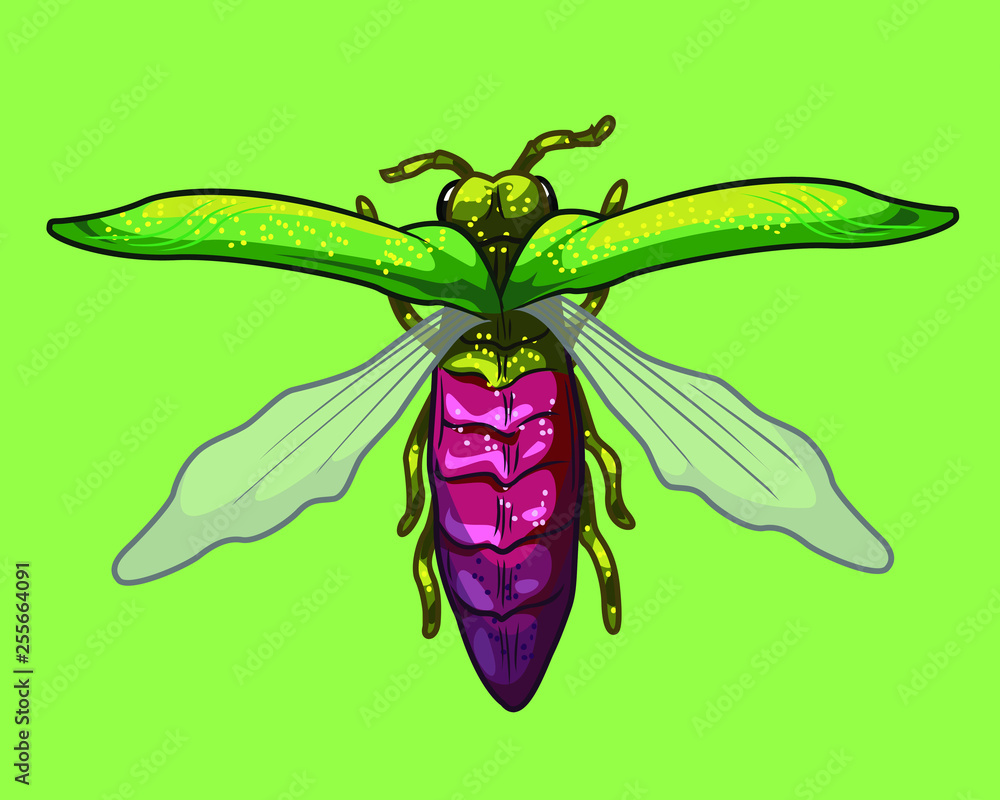 Emerald Ash Borer with wings outstretched Stock Vector | Adobe Stock