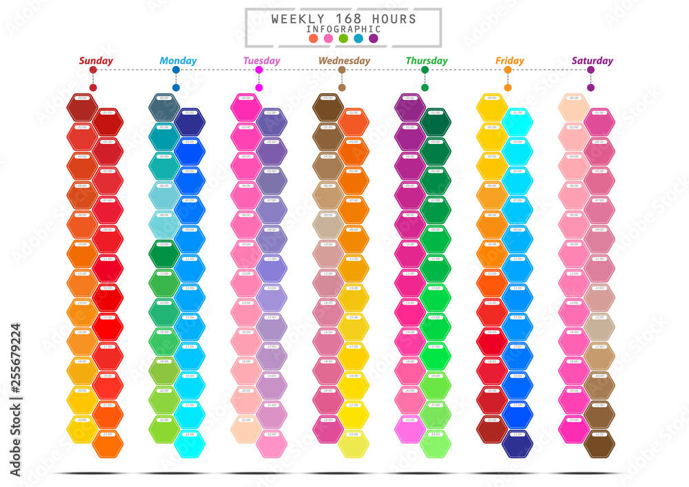 Modern business vertical hourly timeline process chart infographics ...