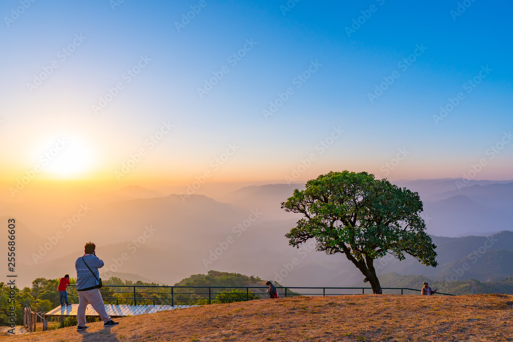 Scenic landscape with Lonely tree and Tourist taking a picture at Doi ...