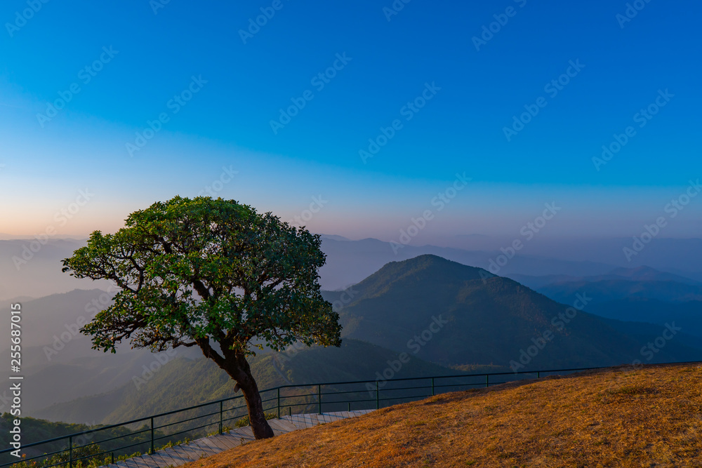 Foto de Scenic landscape with Lonely tree and pathway beside the hill ...