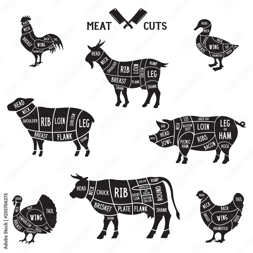 Types Of Meat Clipart Free