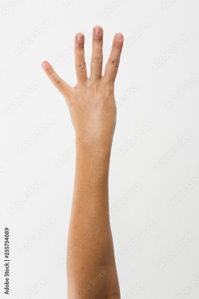 lady hand gestures - white background Stock Photo | Adobe Stock