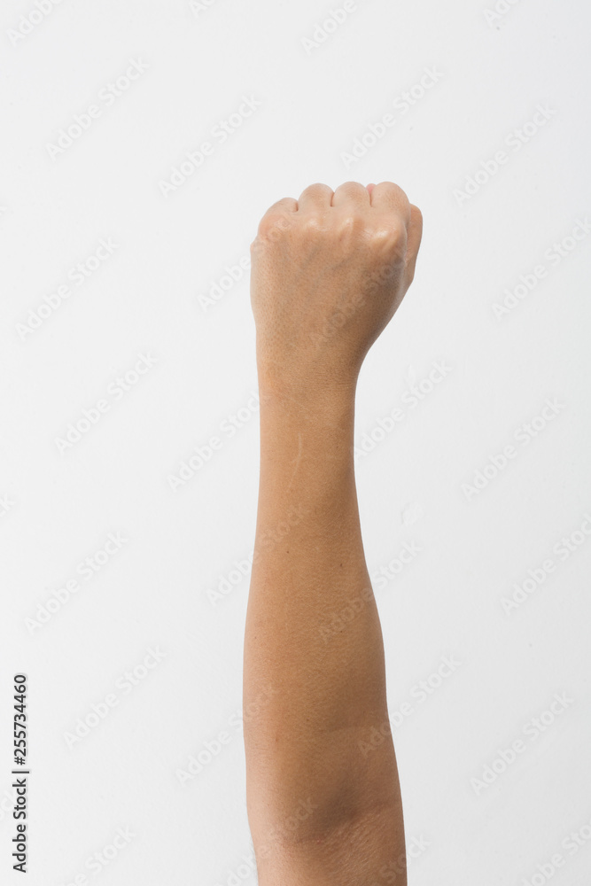 lady hand gestures - white background Stock Photo | Adobe Stock