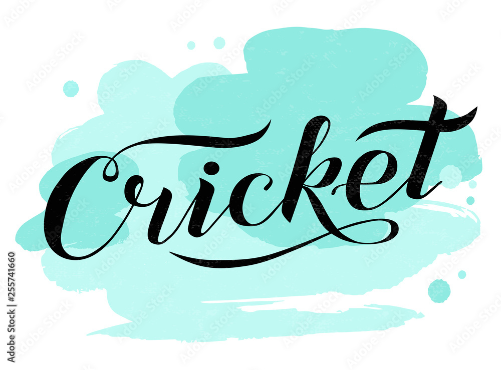 Hand drawn Cricket lettering text on white background with turquoise ...