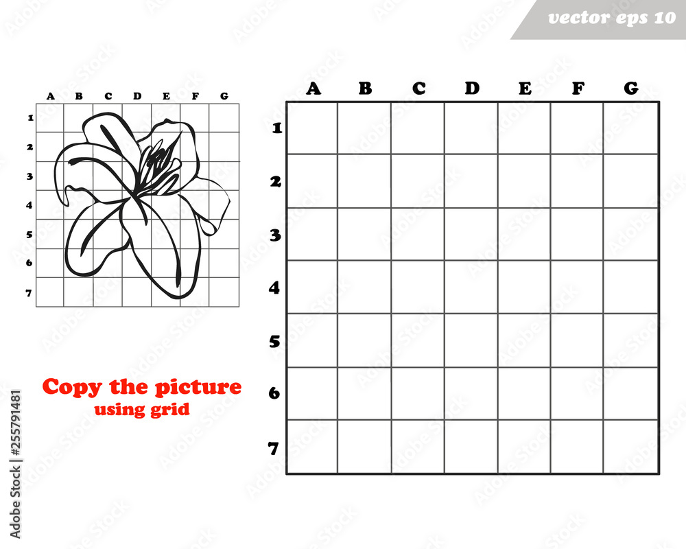 copy lily flower with the grid lines. Stock Vector | Adobe Stock