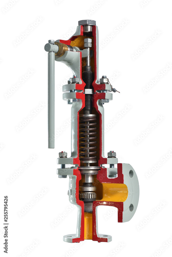 Internal components and design of a spring-type safety valve. The valve ...