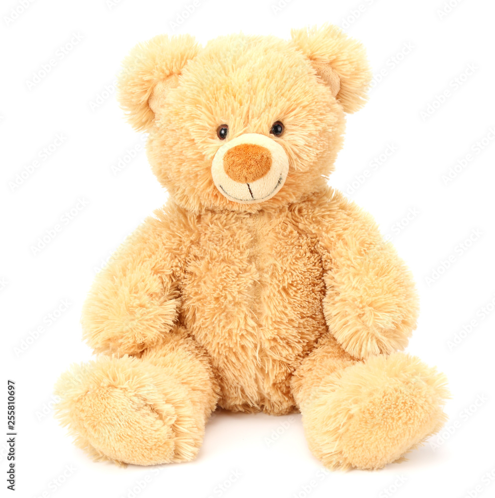 toy teddy bear isolated on white background Stock Photo | Adobe Stock