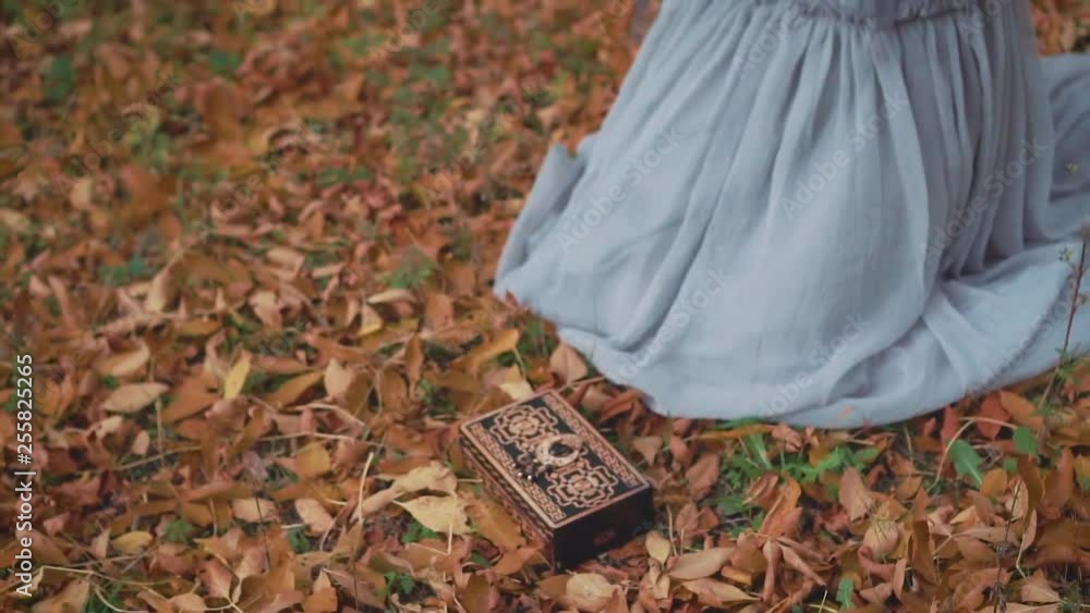 wooden mysterious magic box with diseases and cursed souls lies half in ...
