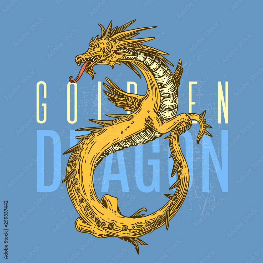 Flying golden dragon. Vintage color card. Engraving style. Vector ...