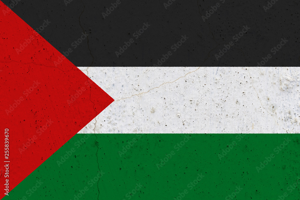 palestine flag on concrete wall Stock Photo | Adobe Stock