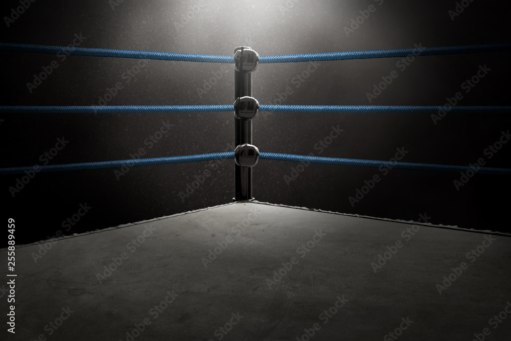 Professional boxing ring Stock Photo | Adobe Stock