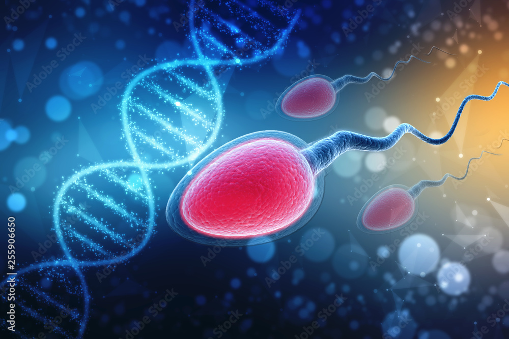 Human Sperm Cell on microscope. Scientific background, Natural ...