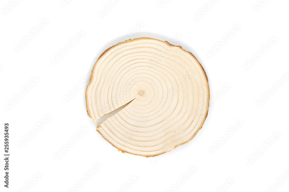 Pine tree cross-section with annual rings on white background. Lumber ...