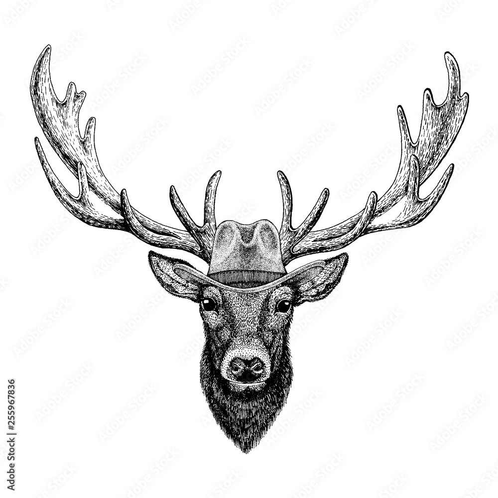 Deer wearing cowboy hat. Wild west animal. Hand drawn image for tattoo ...