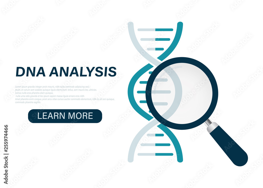 DNA analysis icon, genetics testing. dna chain in magnifying glass sign ...