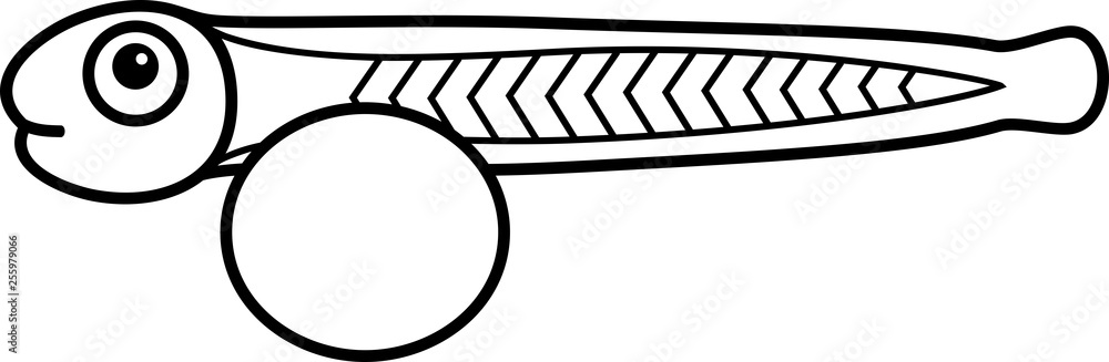 Yolk Coloring Page
