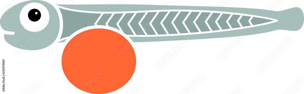 Larva of cartoon fish with yolk sac Stock Vector | Adobe Stock