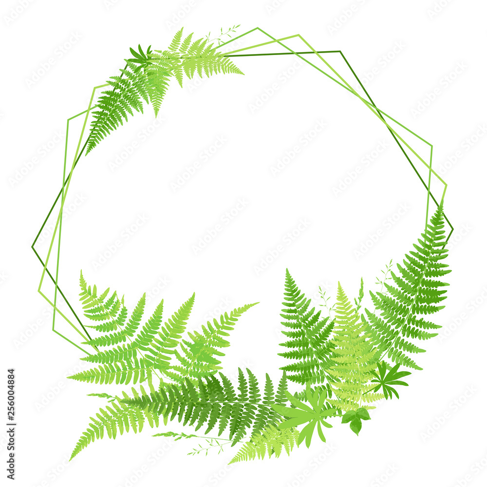 Frame with fern leaves. Template for the invitation. Wild forest or ...
