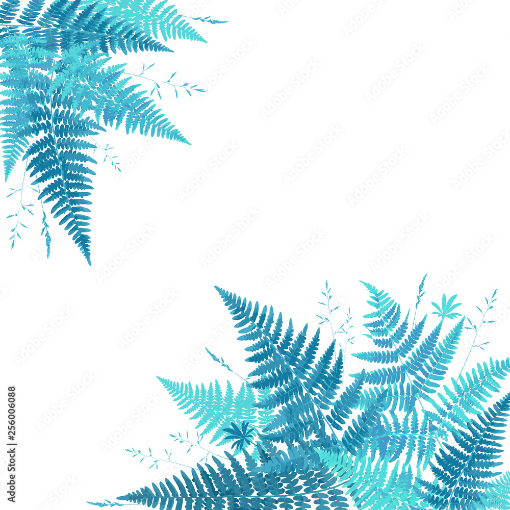 Frame with fern leaves. Template for the invitation. Wild field herbs ...