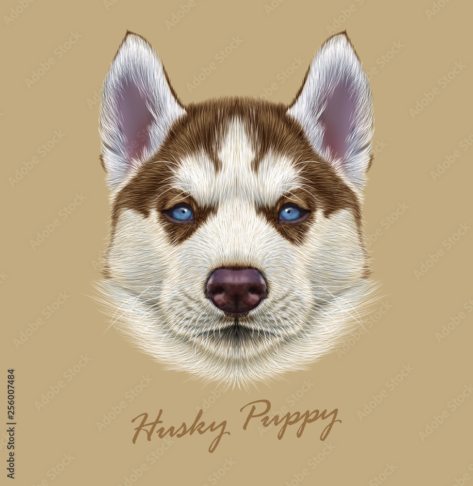 Husky animal dog cute face. Vector Alaskan puppy head portrait ...